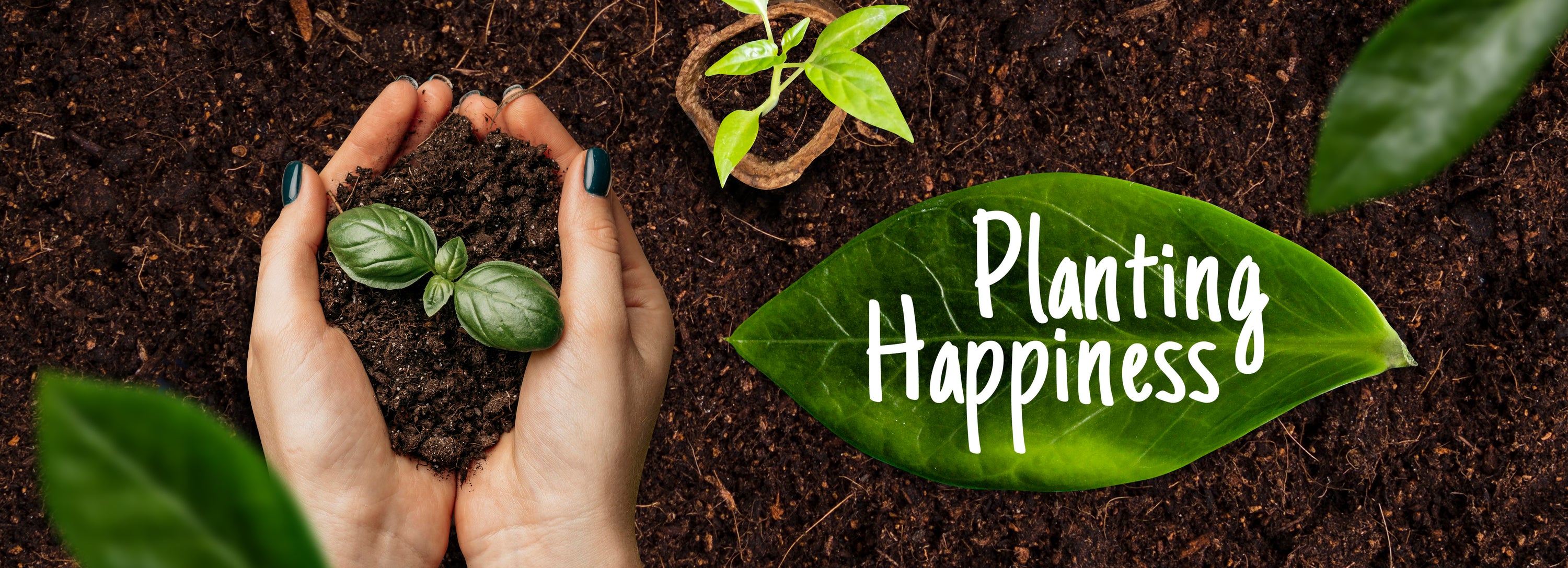 Upavana - Your One-Stop-Shop for all things nature!
